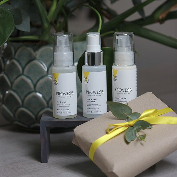 Ultimate Hand Hygiene Kit – Proverb